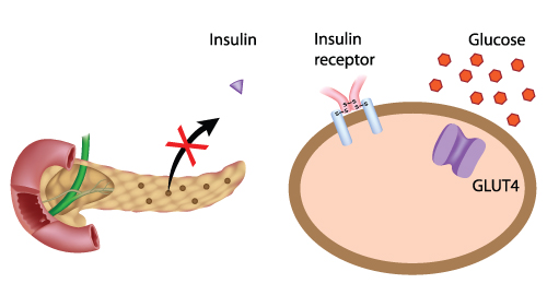 Patient Education Genius - Home